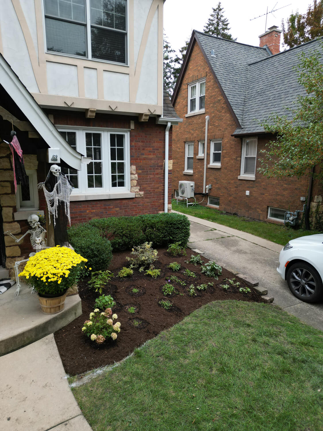 Landscape Refresh | Distinct Outdoor Living